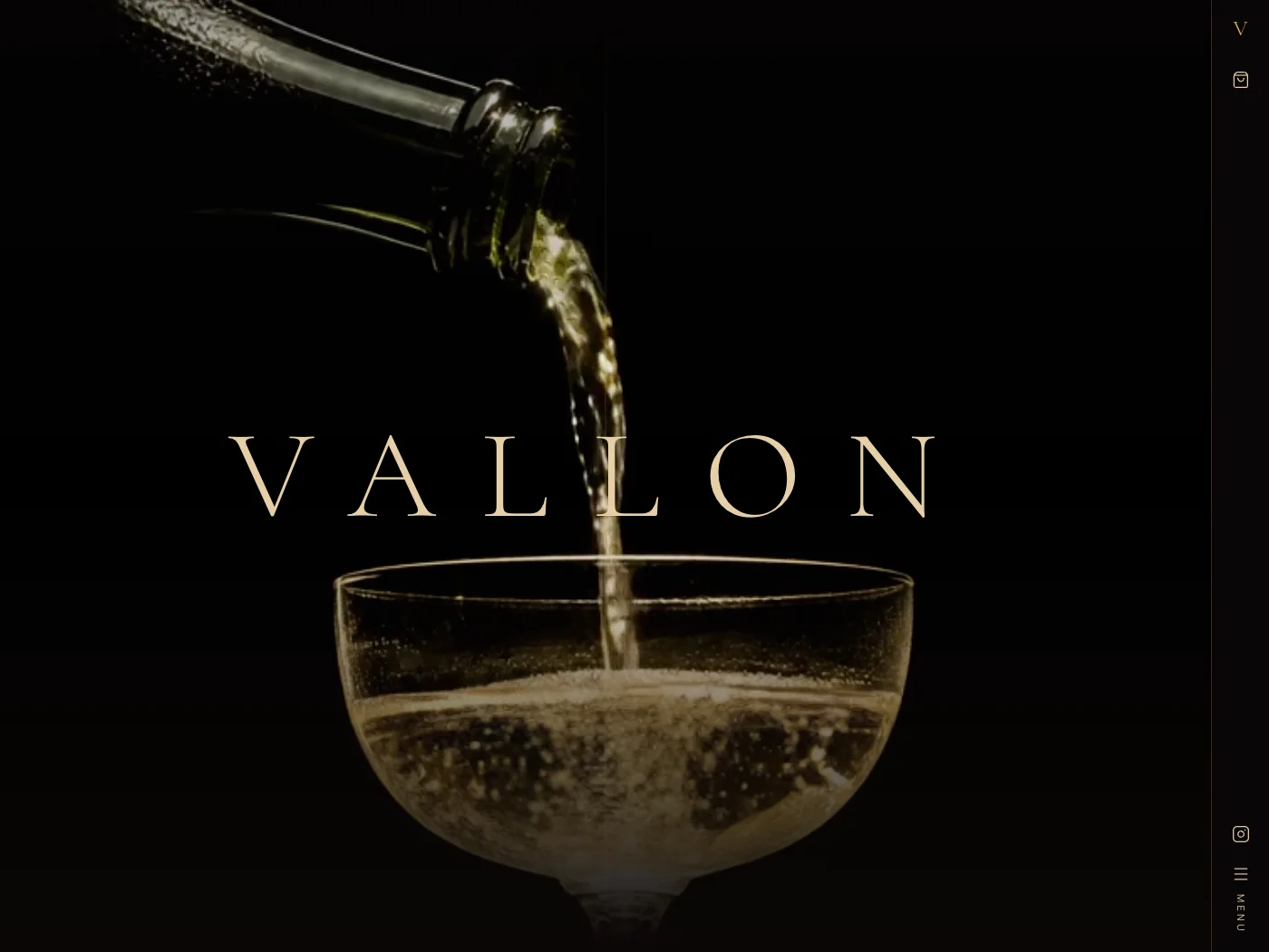 Vallon: the home page of the template