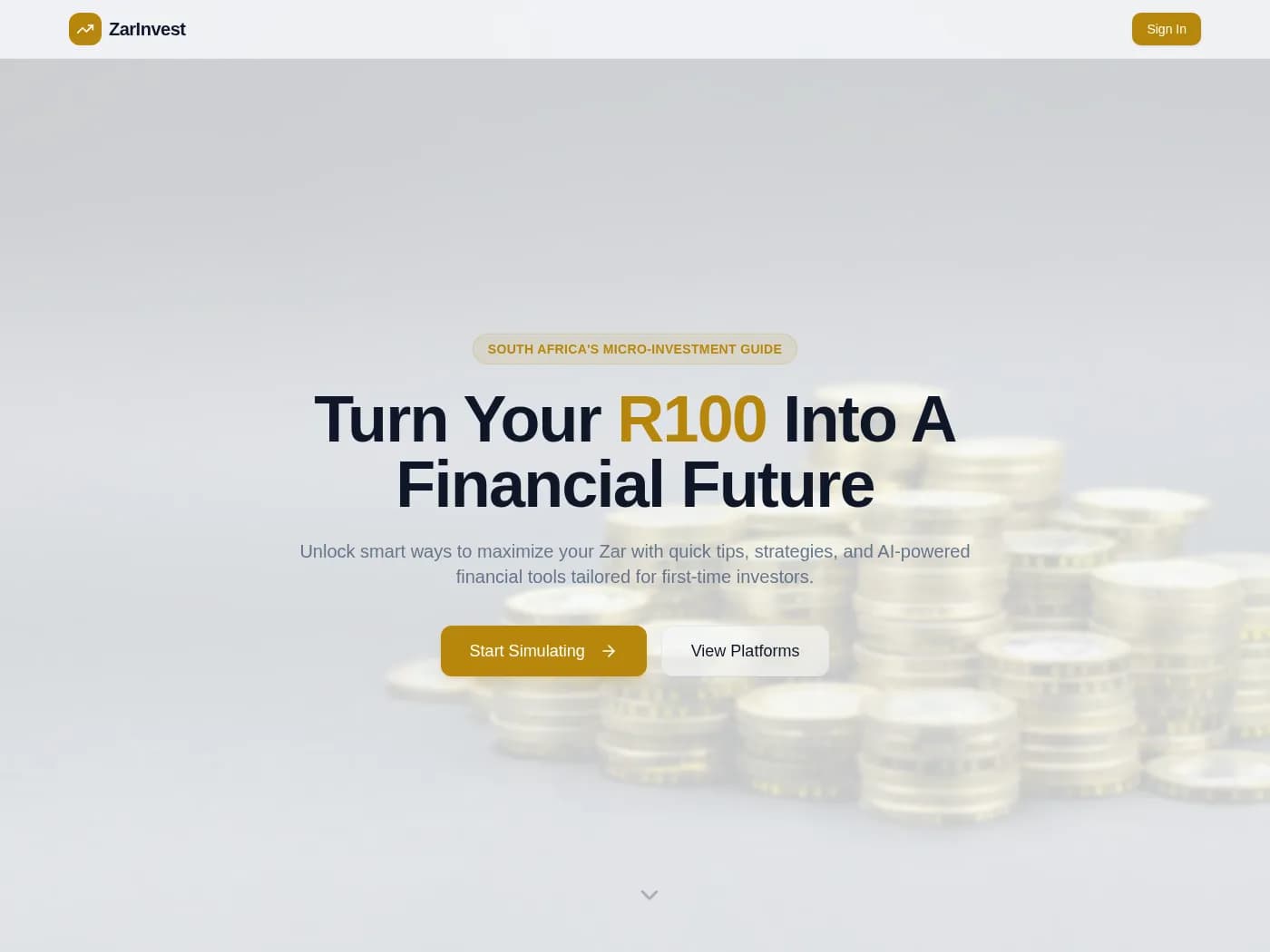 100 Zar Investment Guide