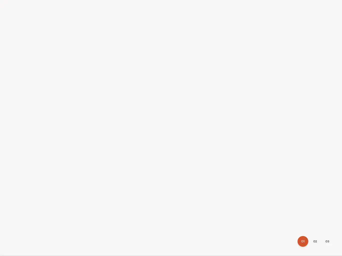 SparkBiz Web Presence