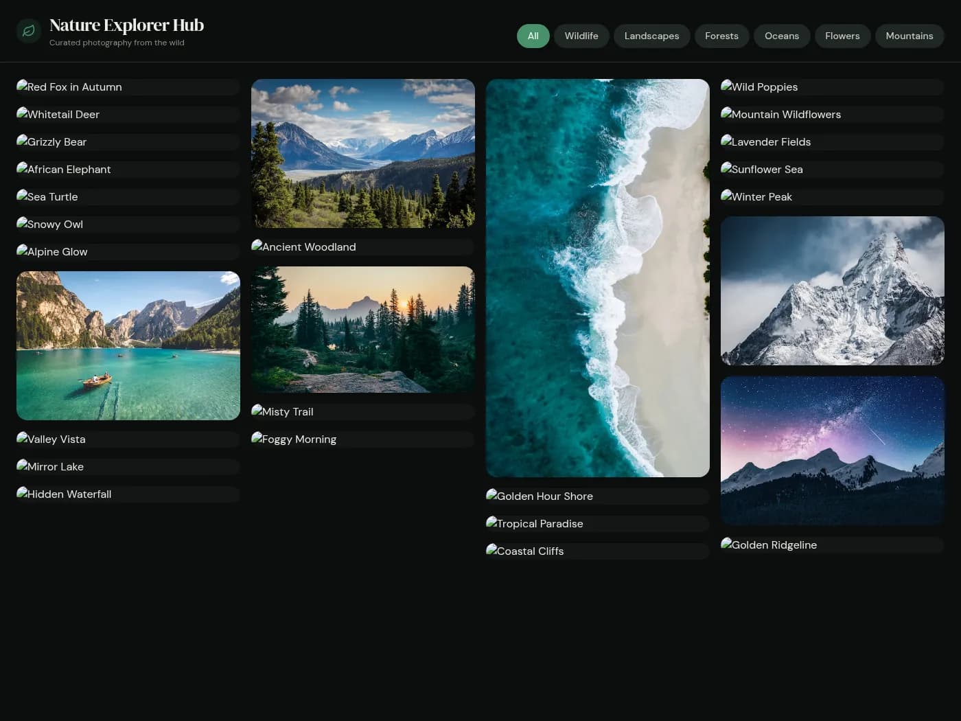 Nature Explorer Hub