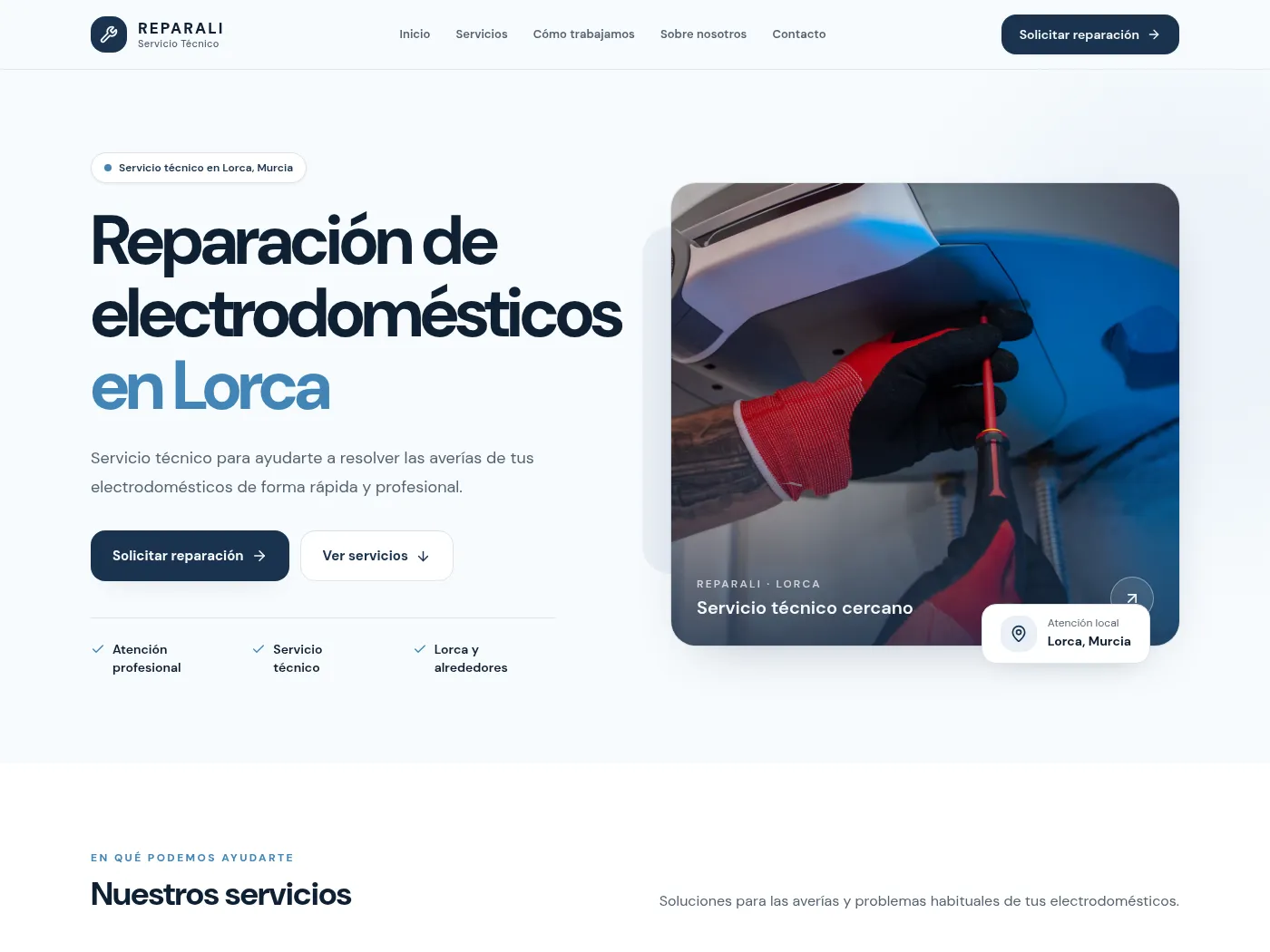 Reparali Web Demo