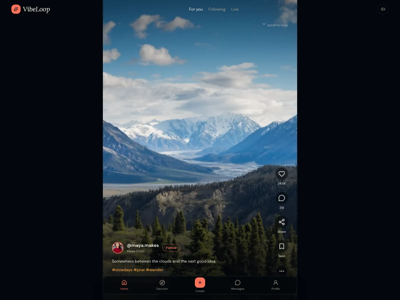 VibeLoop Social Platform