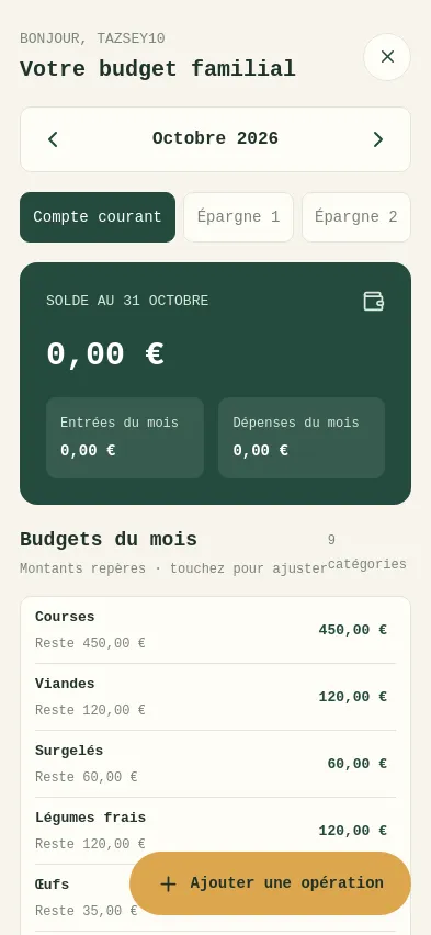 Family Budget Ledger