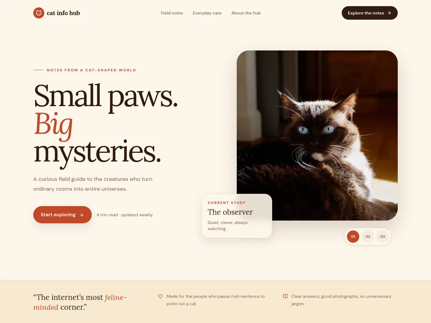 Cat Info Hub
