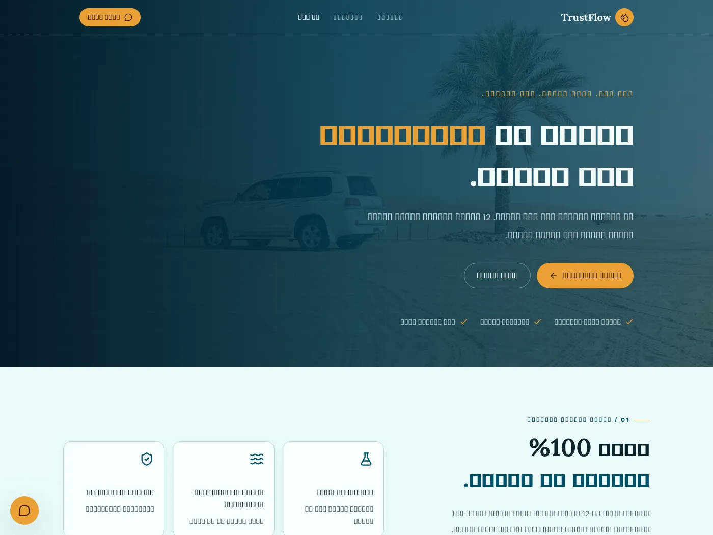 TrustFlow Store Website