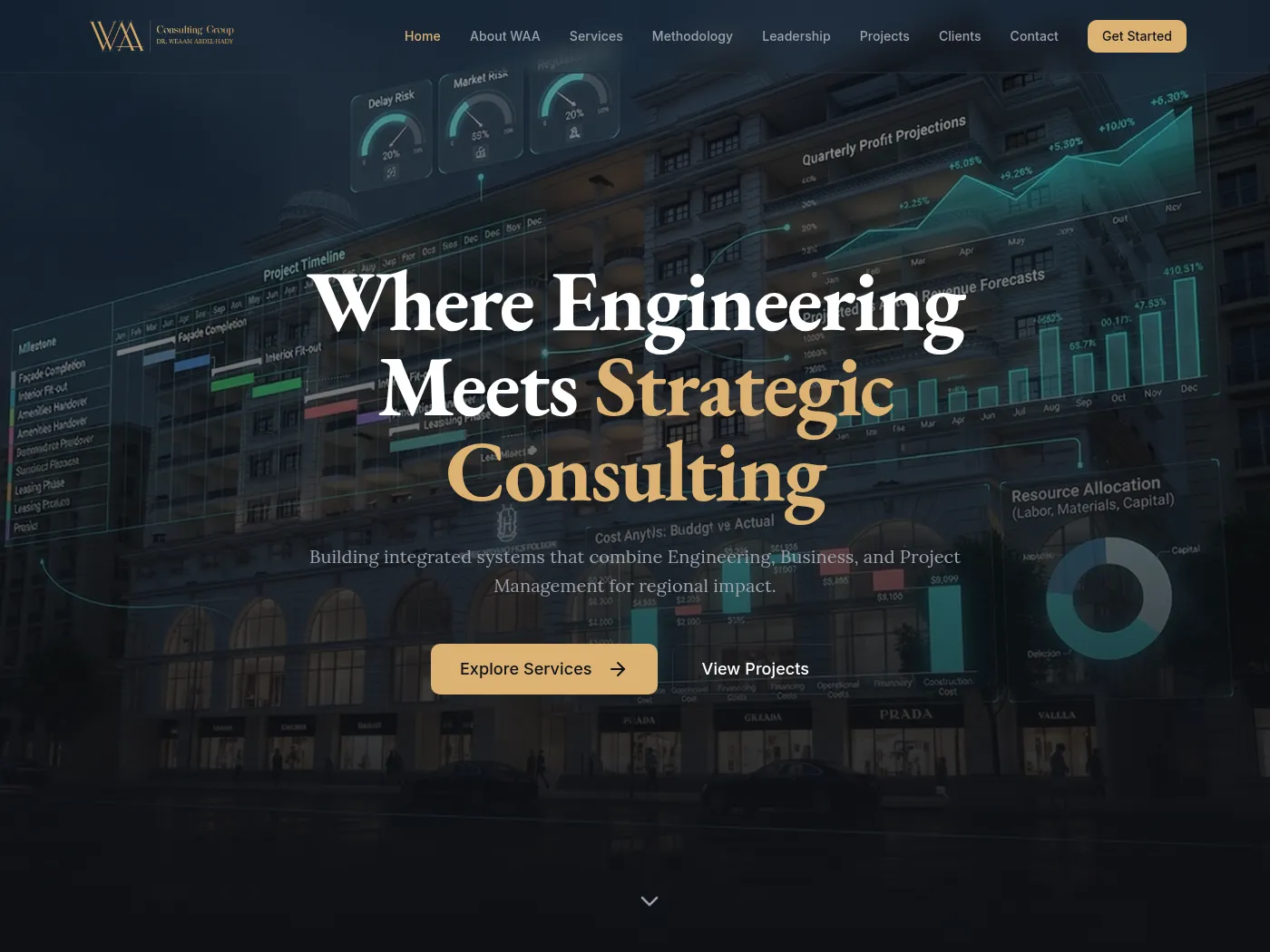 WAA Executive Web Presence