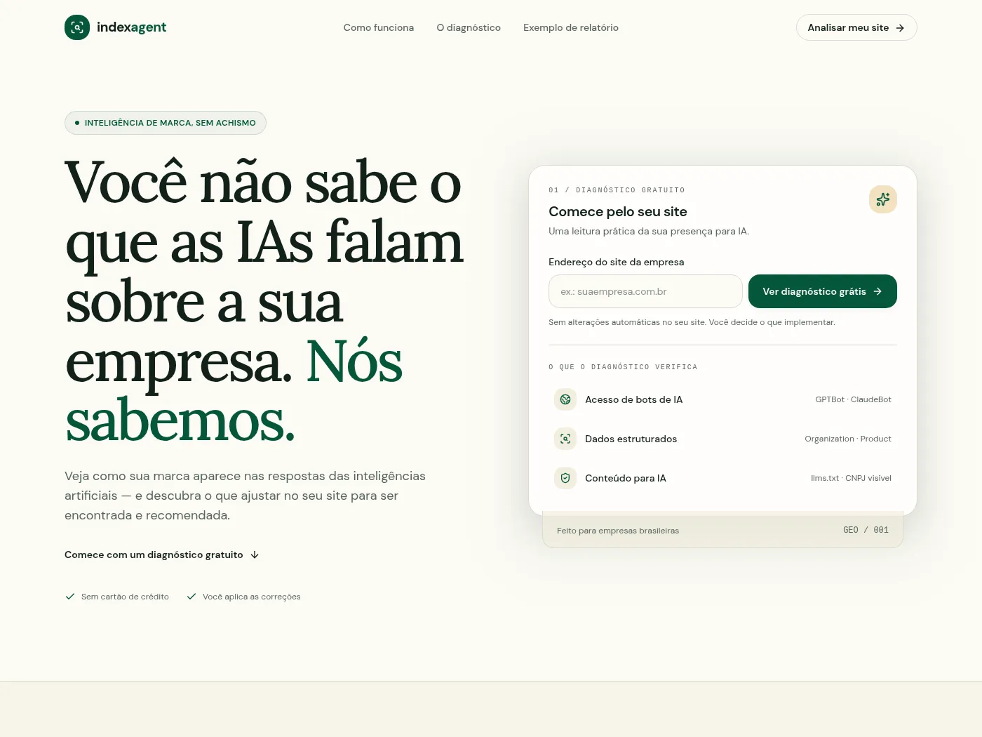 IndexAgent Diagnóstico IA
