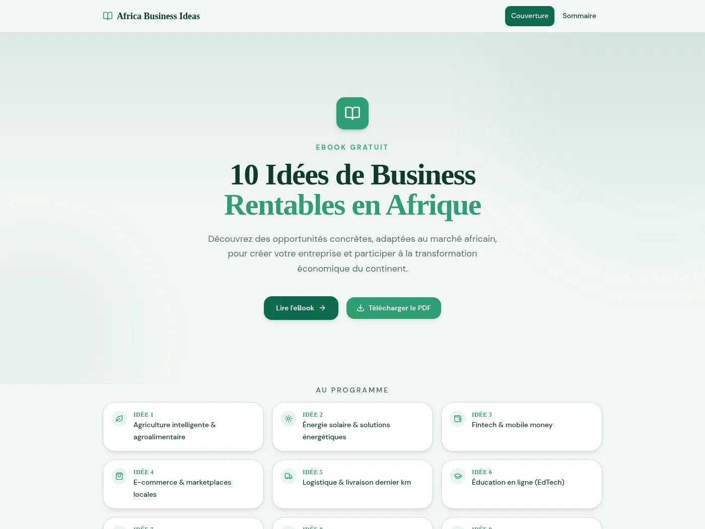 African Business Ideas eBook