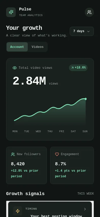 TikTok Insights Pro