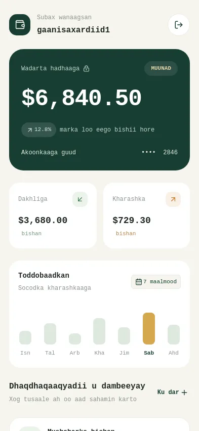 Dhis Finance Tracker