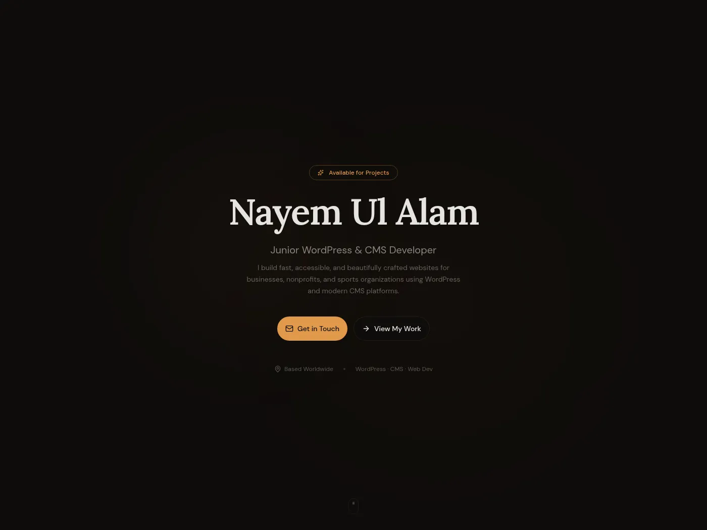Nayem's Portfolio