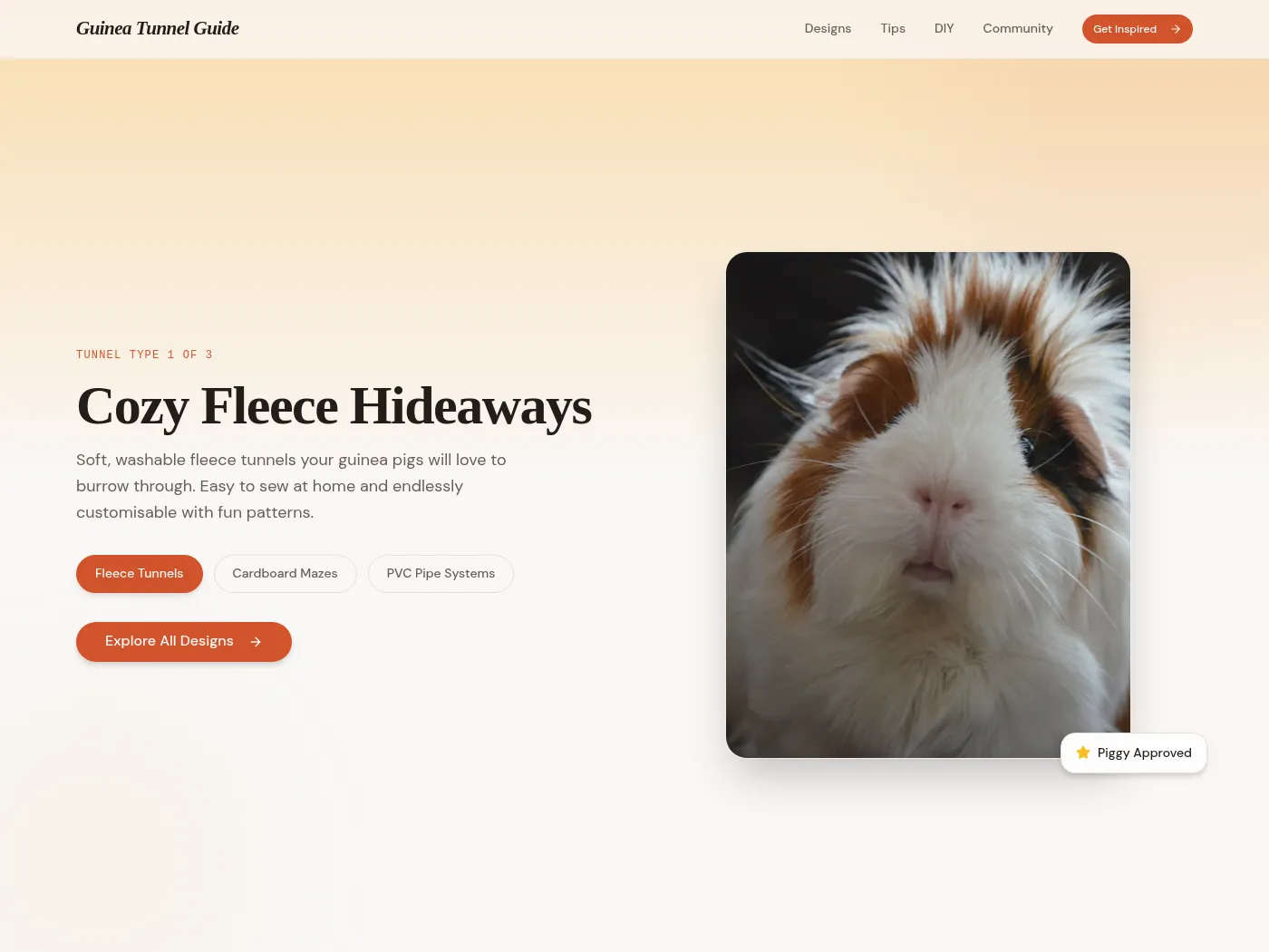 Guinea Tunnel Guide