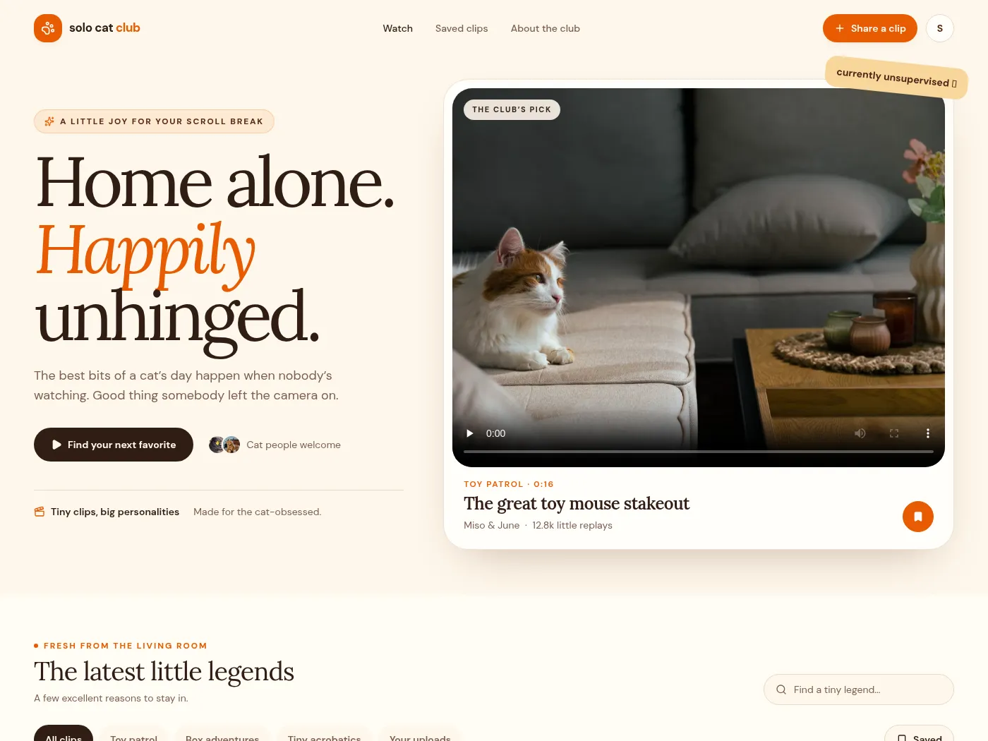 Cat Alone Video Hub