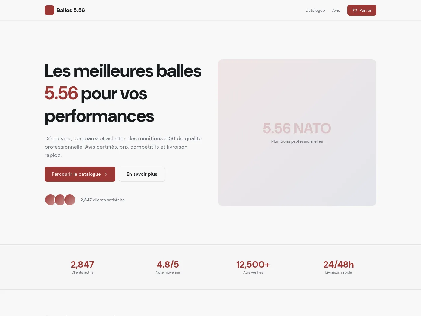 Balles 5.56 Marketplace