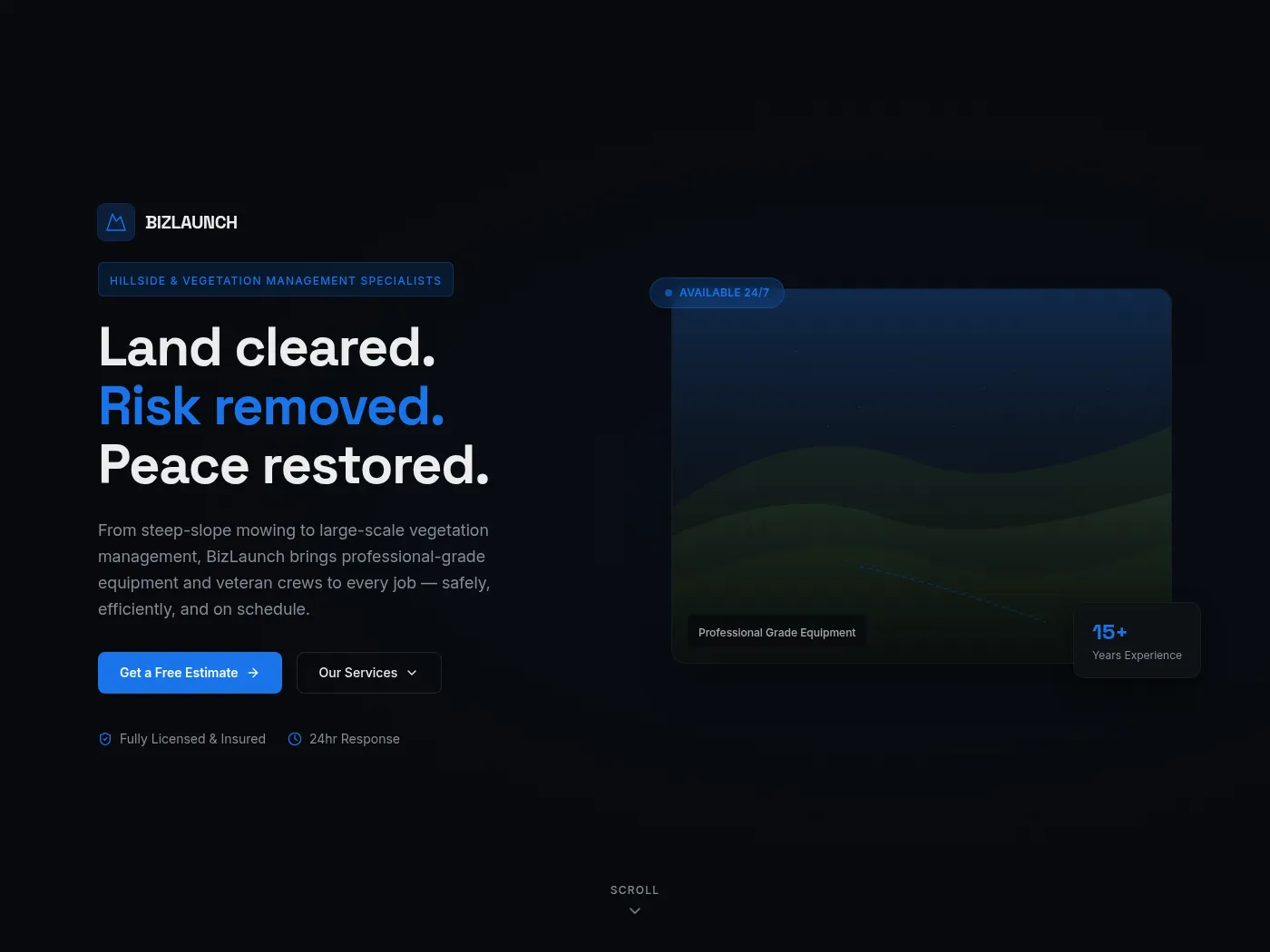 BizLaunch Website