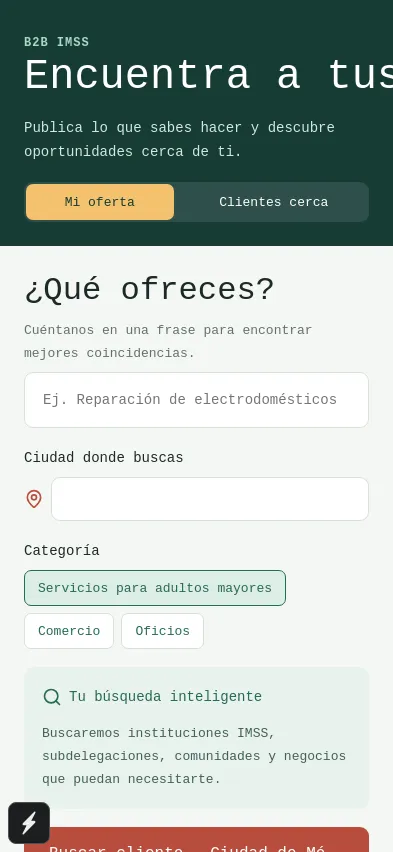 B2B IMSS Connect
