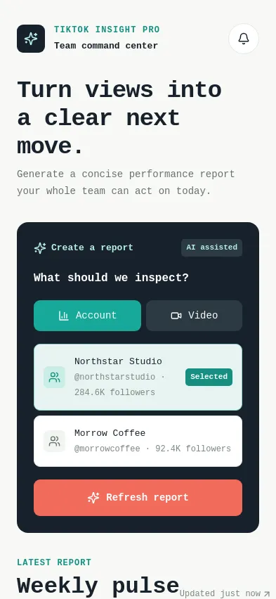 TikTok Insight Pro