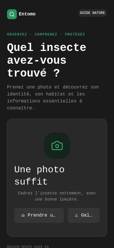 Insect Identifier App