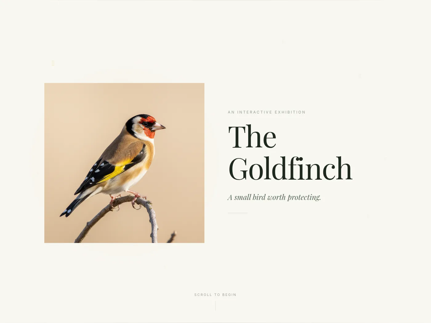 Goldfinch Interactive Exhibition