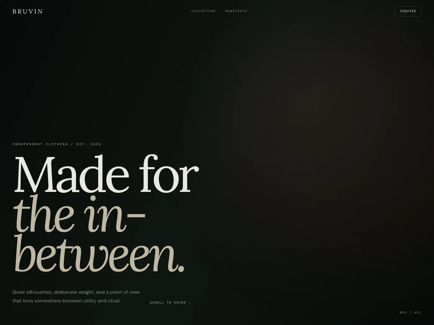 Bruvin Animated Portfolio