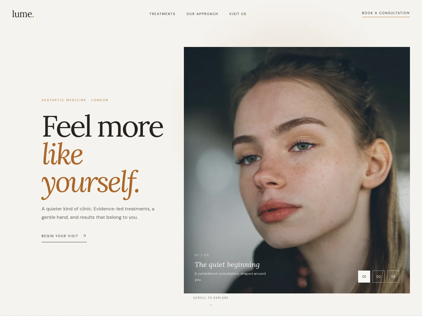 Luxe Clinic Template