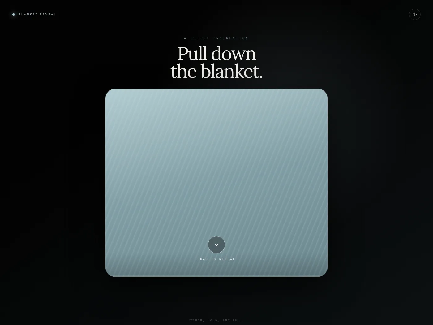 Blanket Reveal