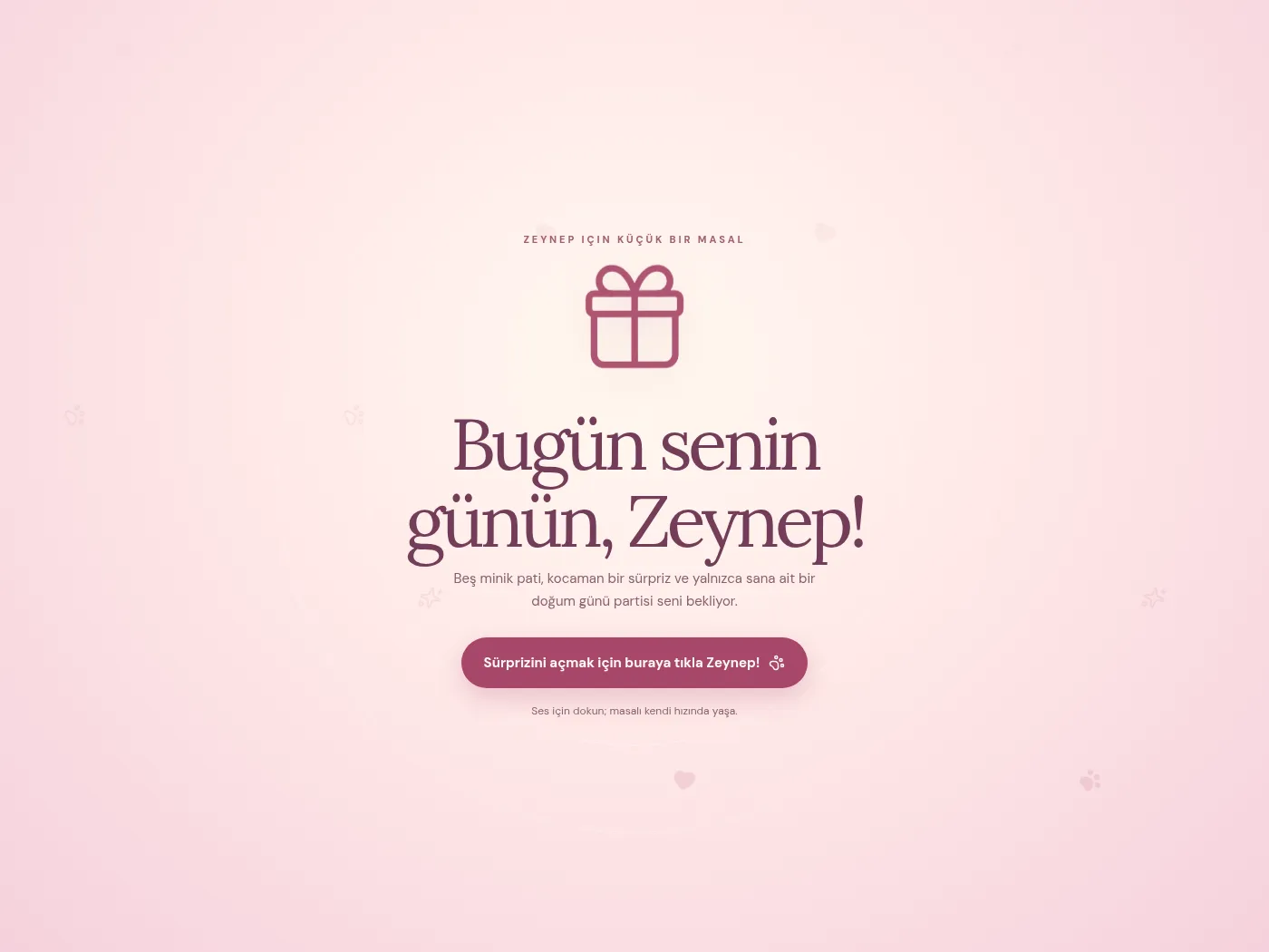 Kedi Partisi Zeynep'e