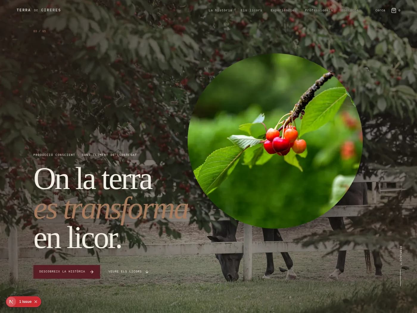 Terra de Cireres Web