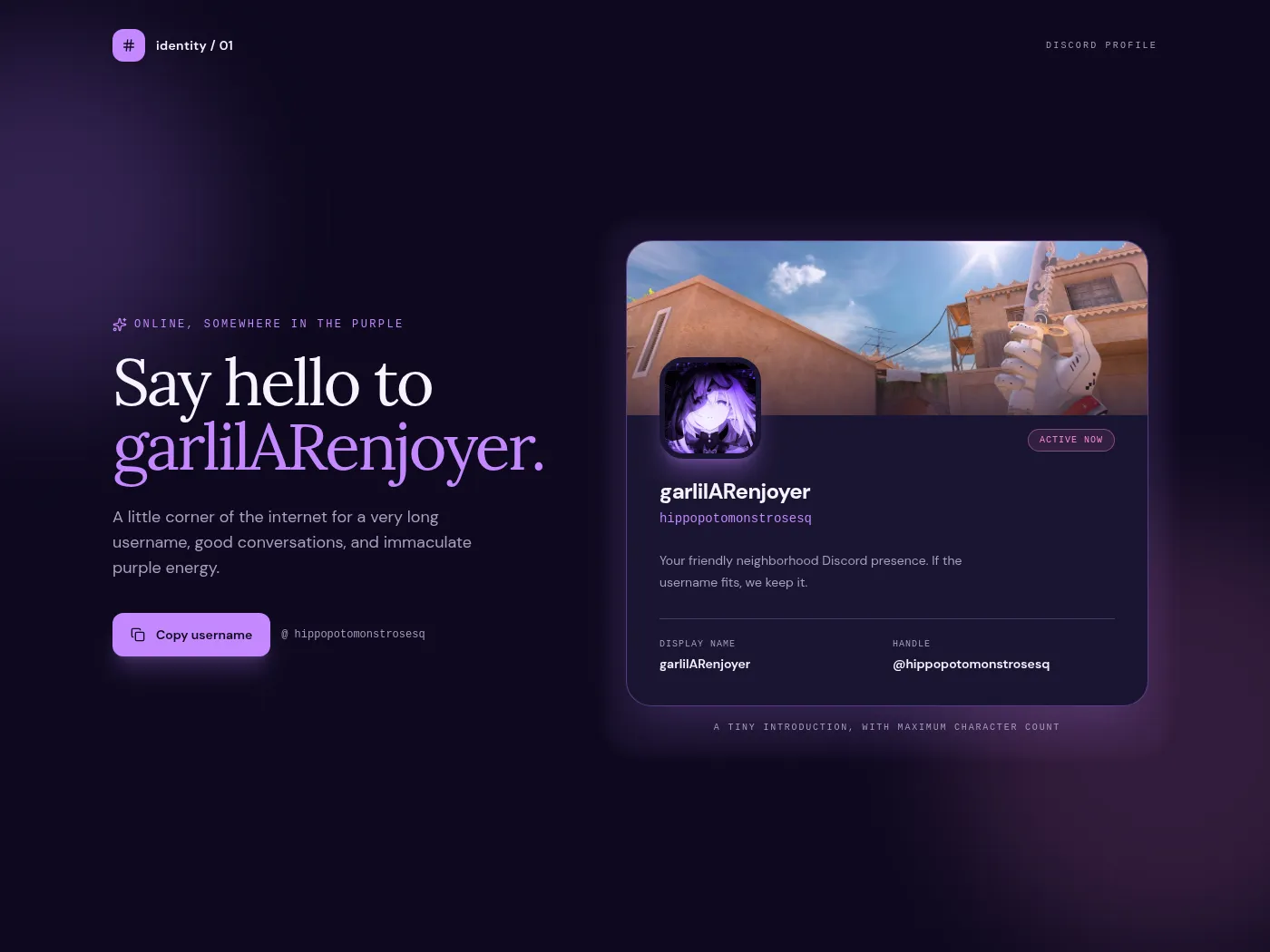 GarlilARenjoyer Showcase