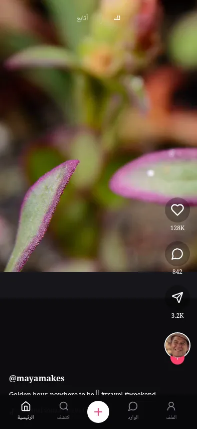 MiniTik Video App