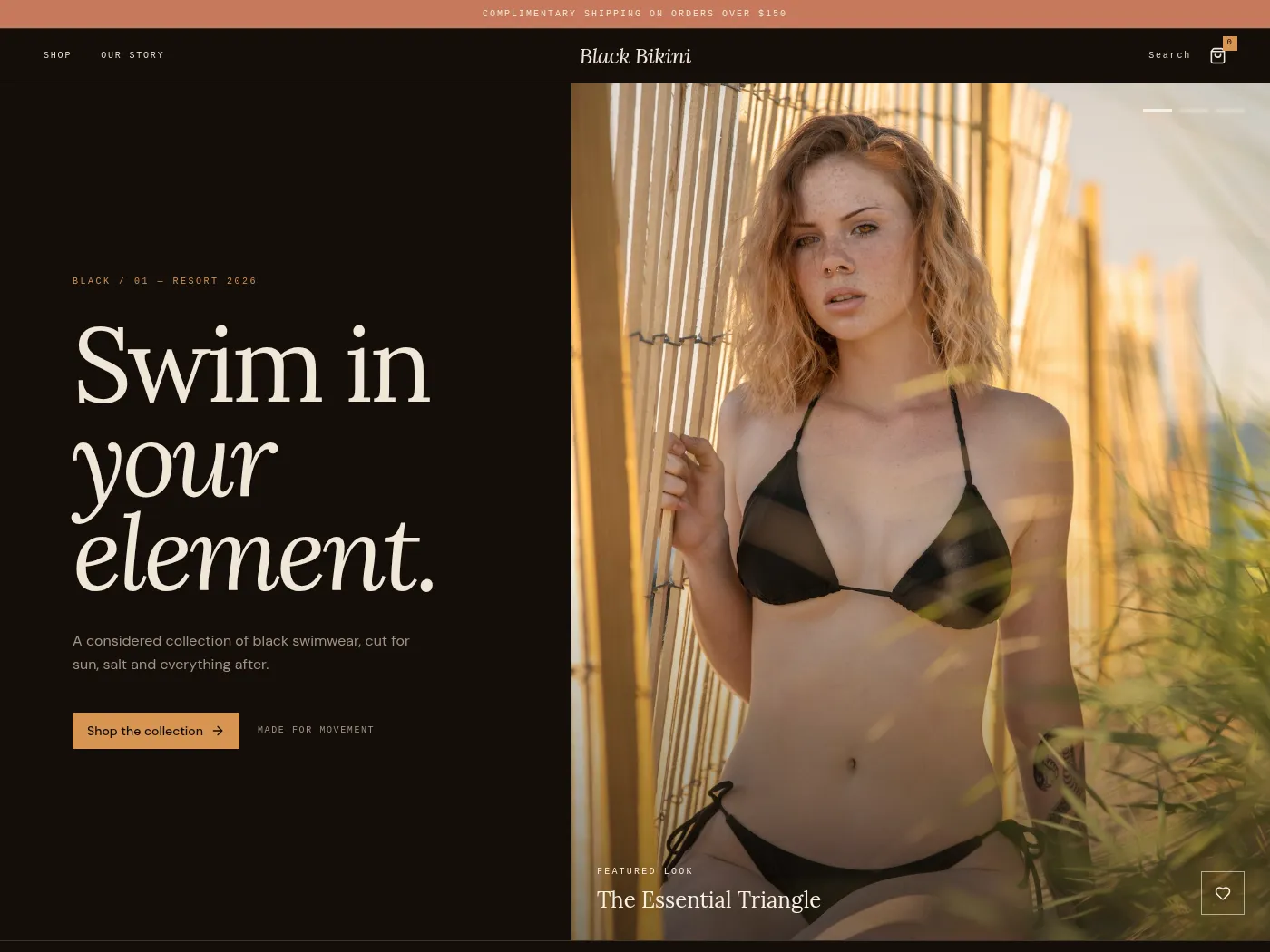 Black Bikini Storefront