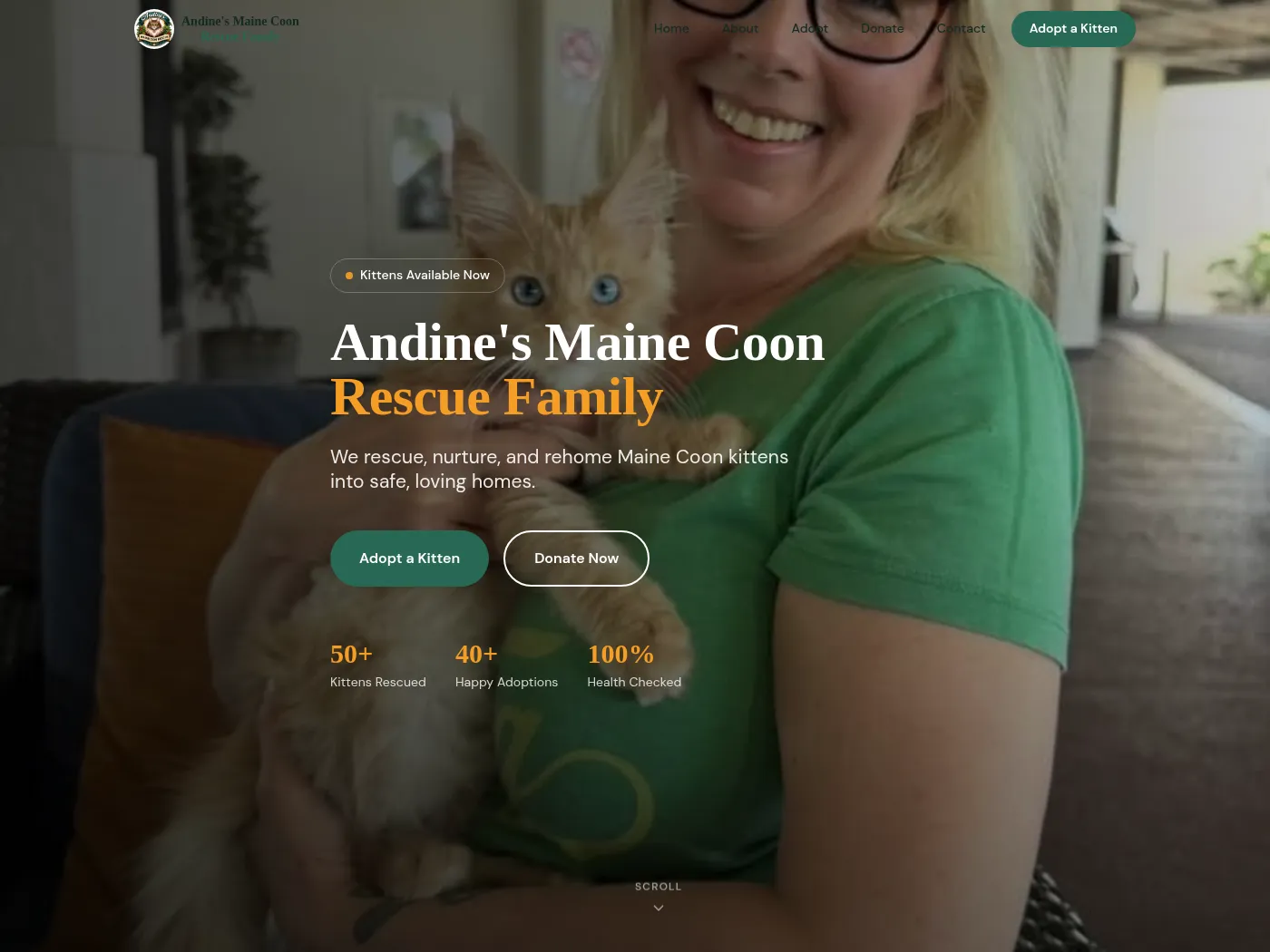 Maine Coon Rescue Hub