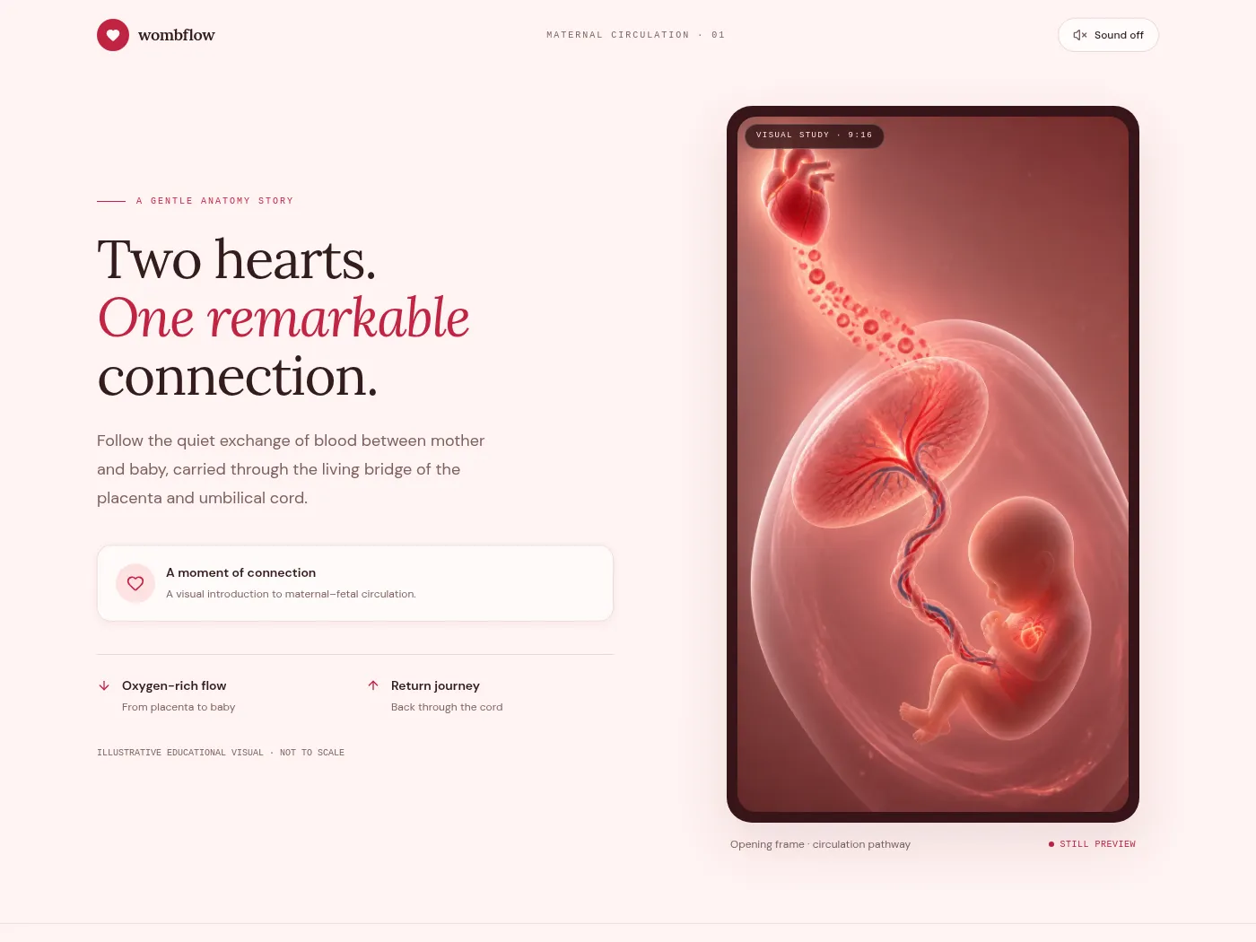 WombFlow Medical Animation