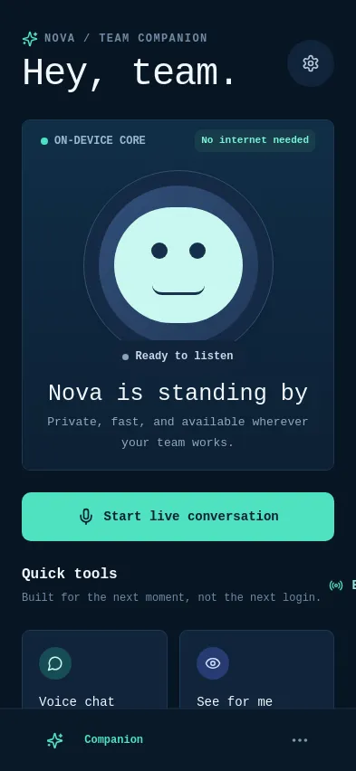 Offline Multilingual AI Buddy