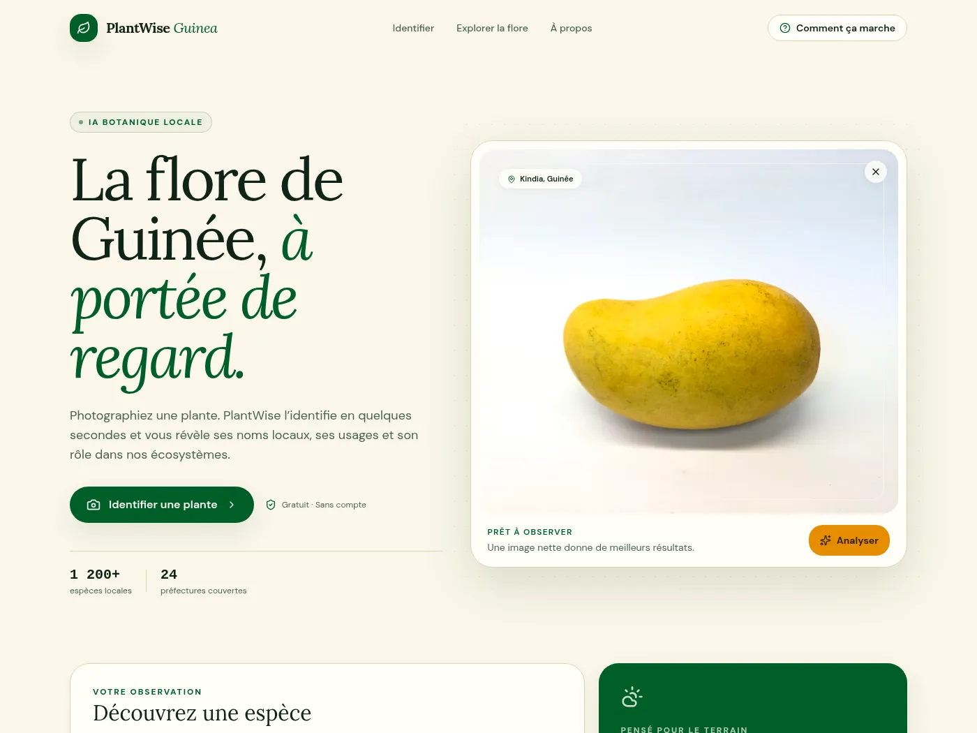 PlantWise Guinea