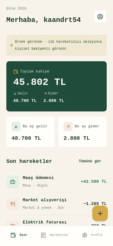 Bütçe Takip Asistanı