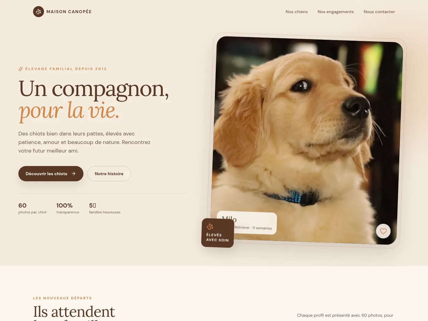 Dog Marketplace Site