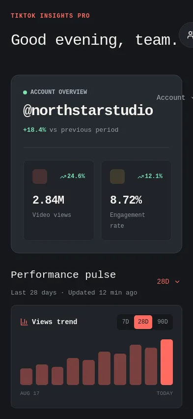 TikTok Insights Pro