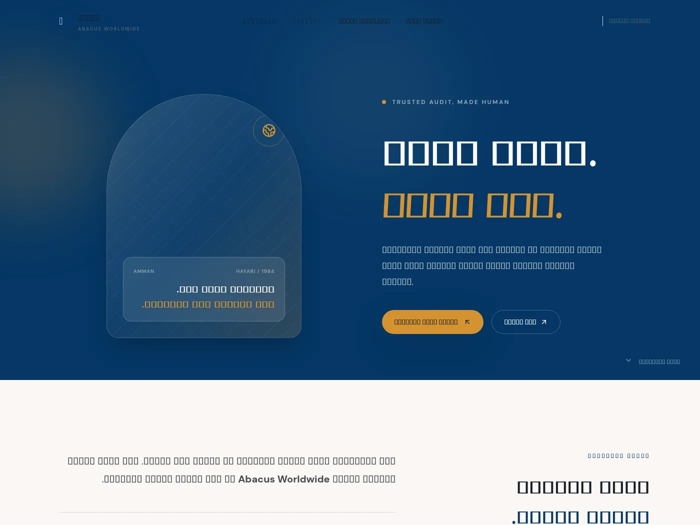 Hayari Audit AI Portal