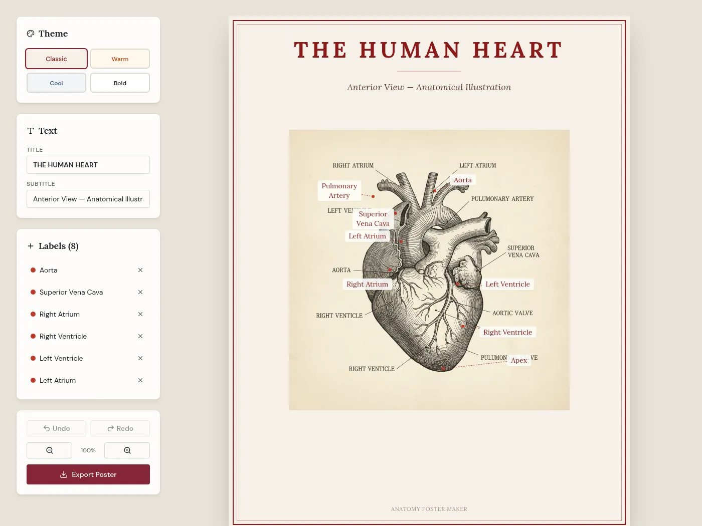 Anatomy Poster Maker