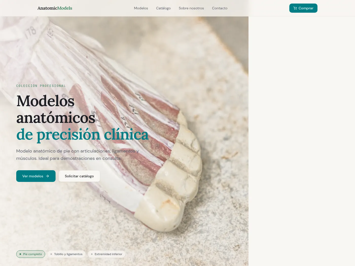 Anatomic Models Landing