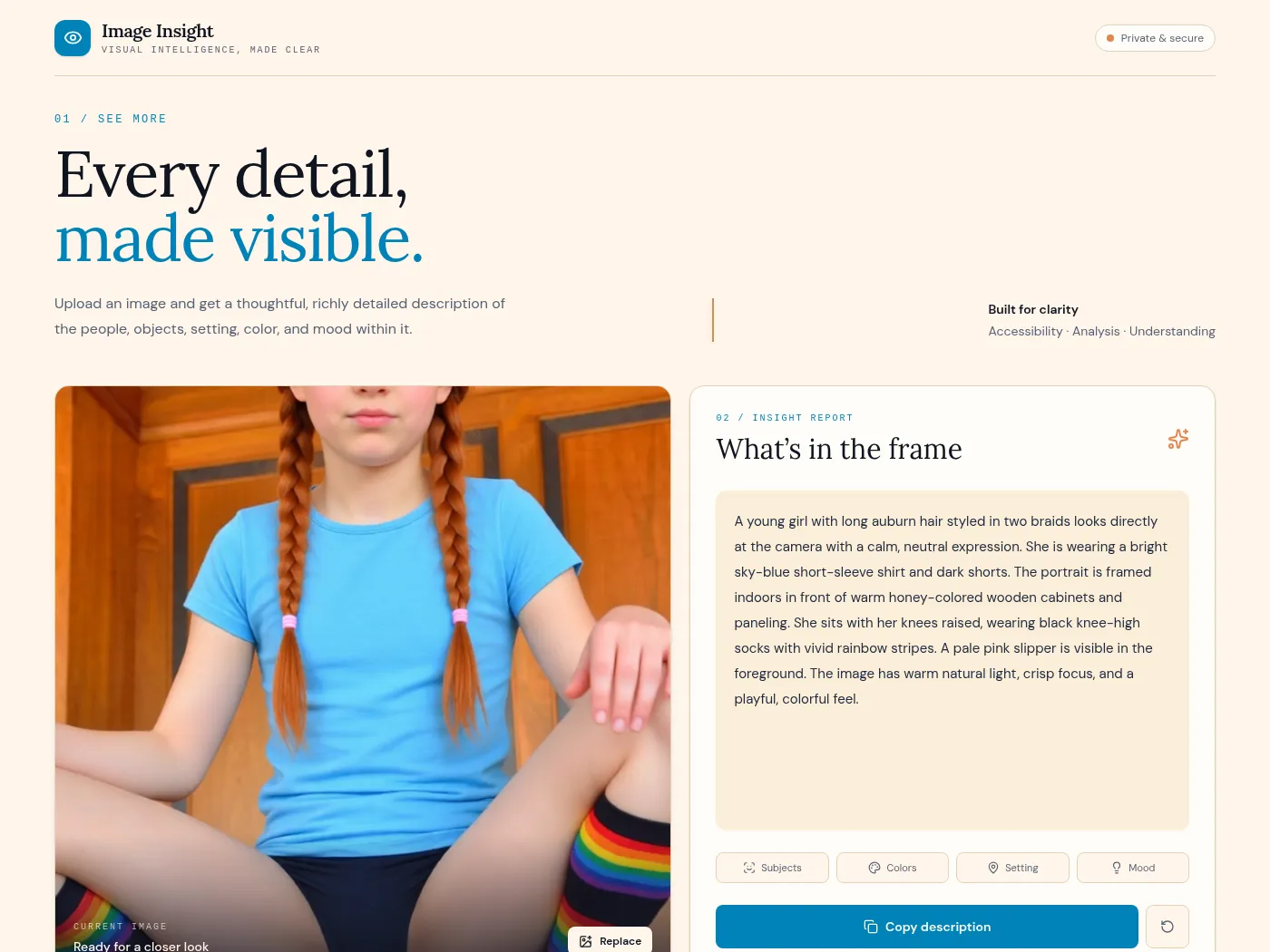 Image Insight Tool