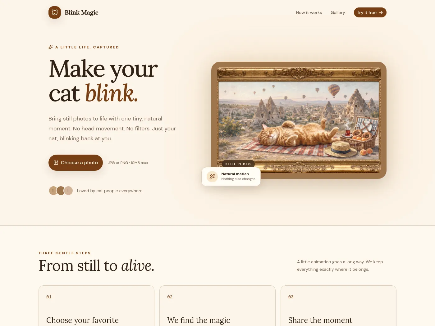 Cat Blink Magic
