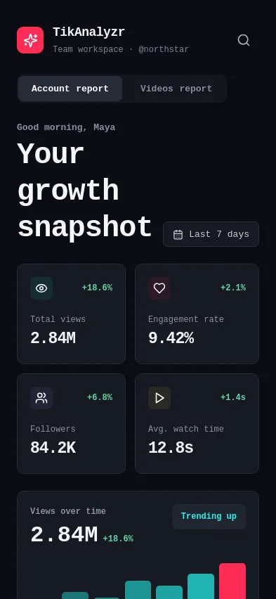 TikAnalyzr Insights