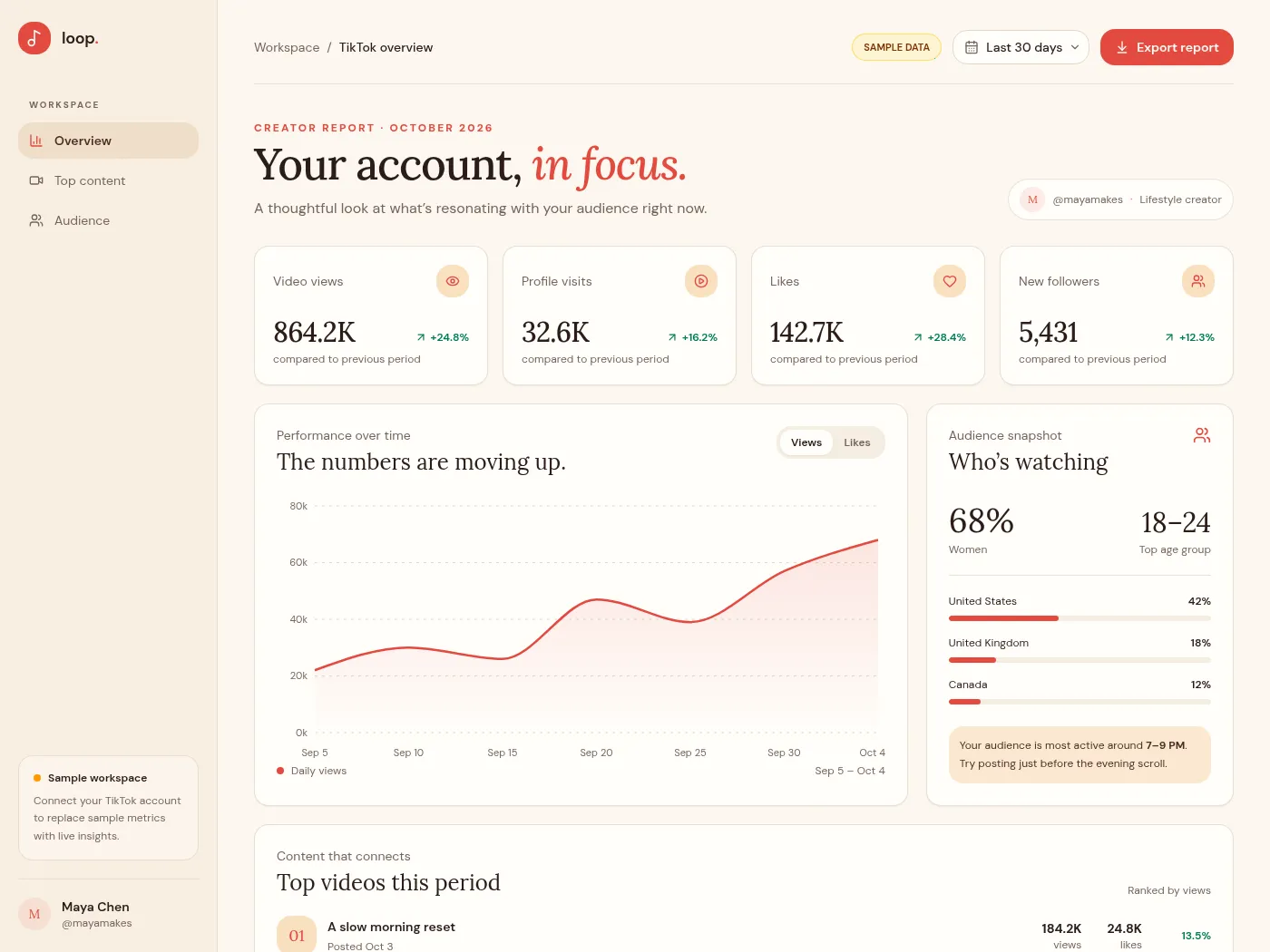 TikTok Insights Tool