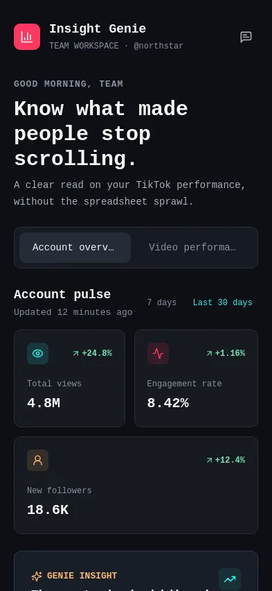 TikTok Insight Genie