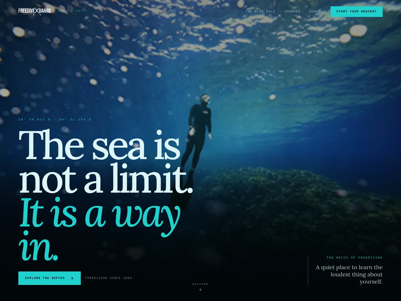 Freedive 3D Experience