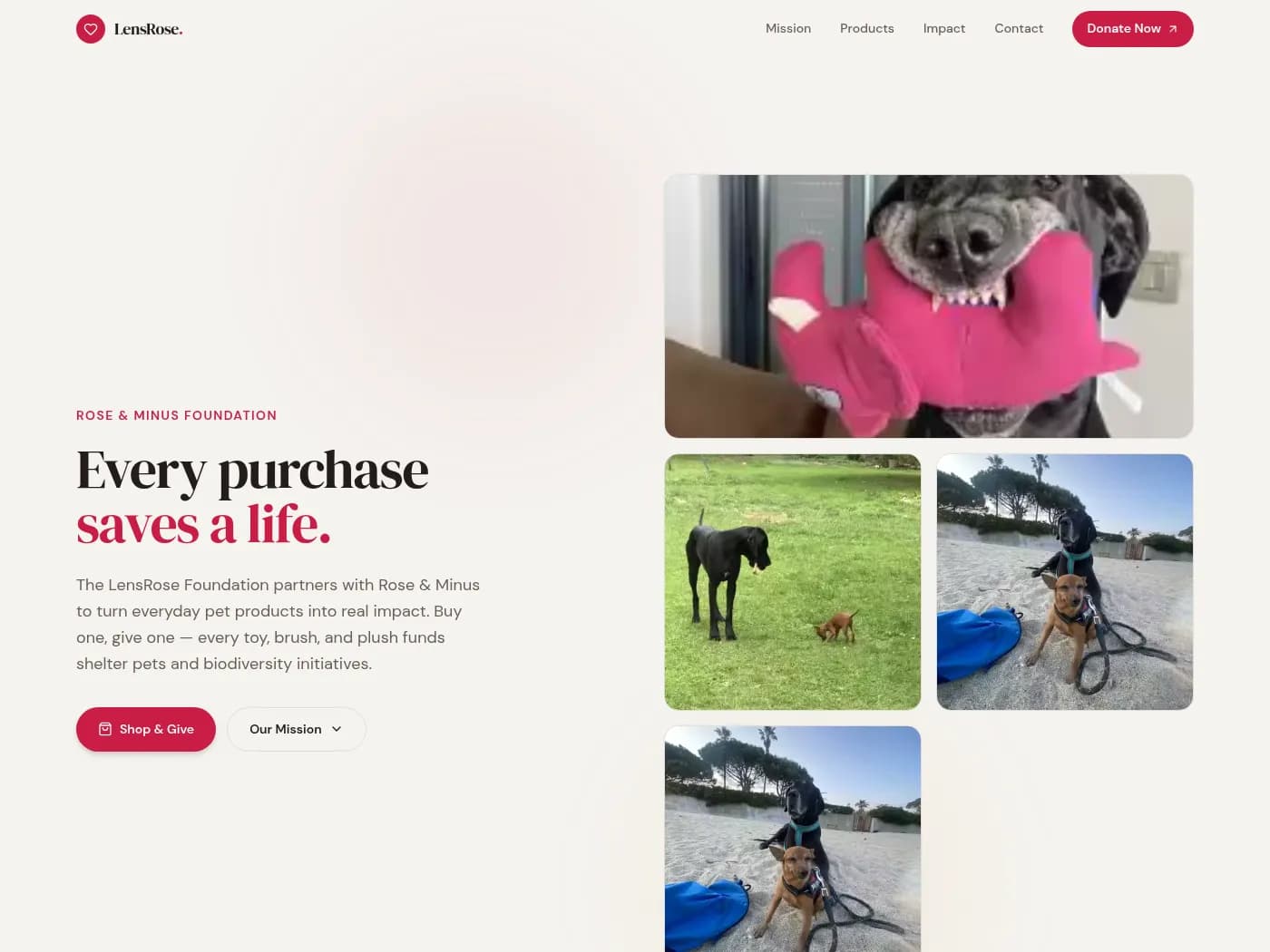 LensRose Foundation Site