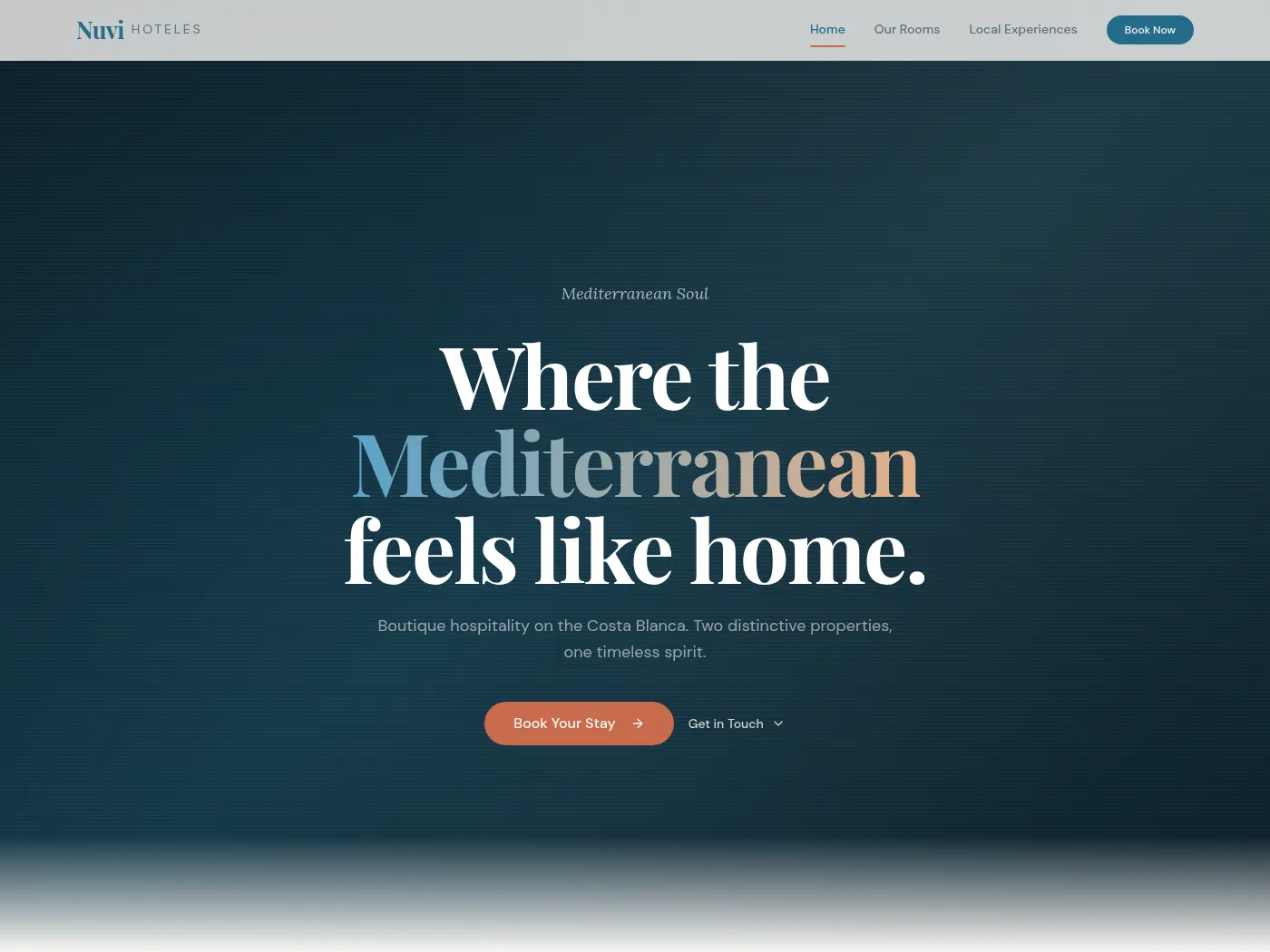 Nuvi Hoteles Web Experience