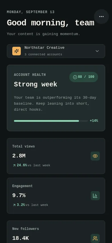 TikTok Insights Mobile